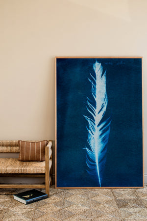 "Cyanotype Feather" Photographic Print by Kara Rosenlund