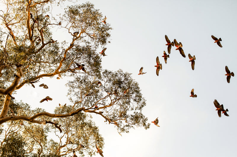 "Open Country Horizontal" Photographic Print by Kara Rosenlund