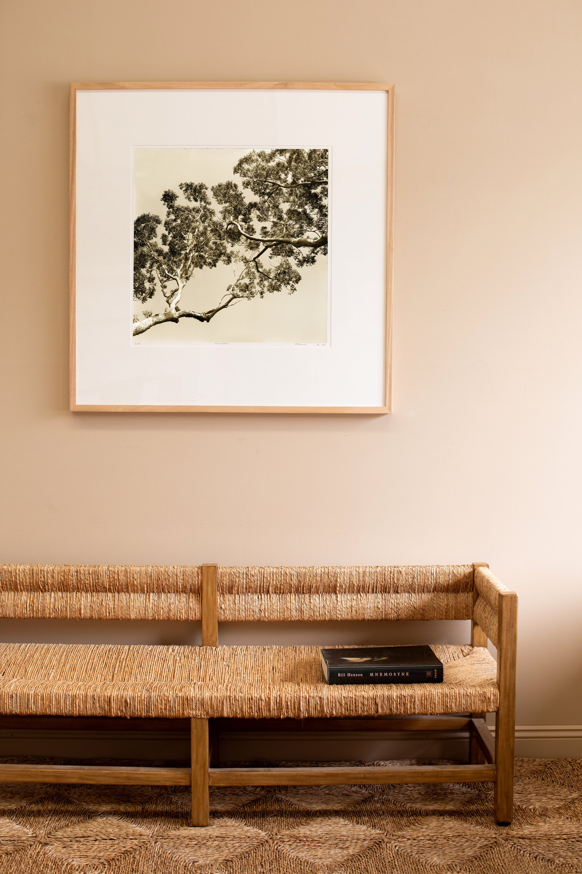 "Gumtree Embrace" Photographic Print by Kara Rosenlund