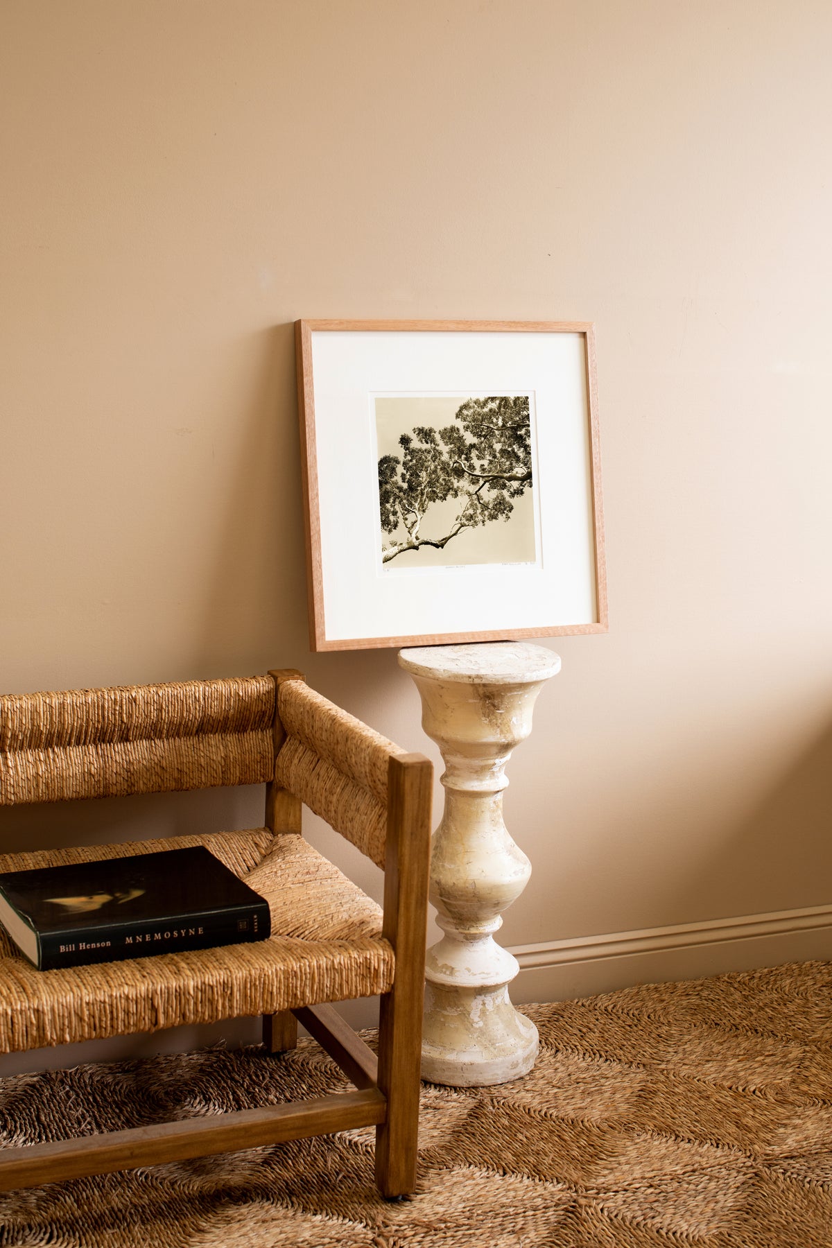 "Gumtree Embrace" Photographic Print by Kara Rosenlund