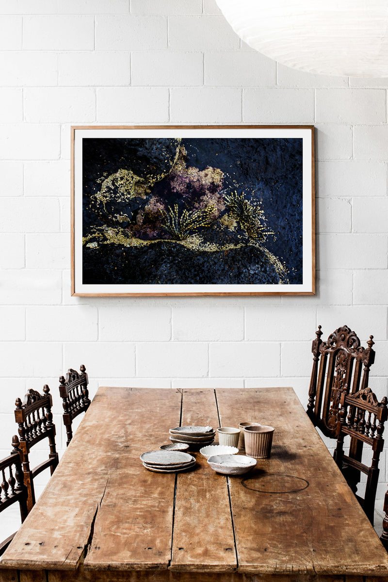 "Seaweed Pearls - Horizontal" Photographic Print by Kara Rosenlund