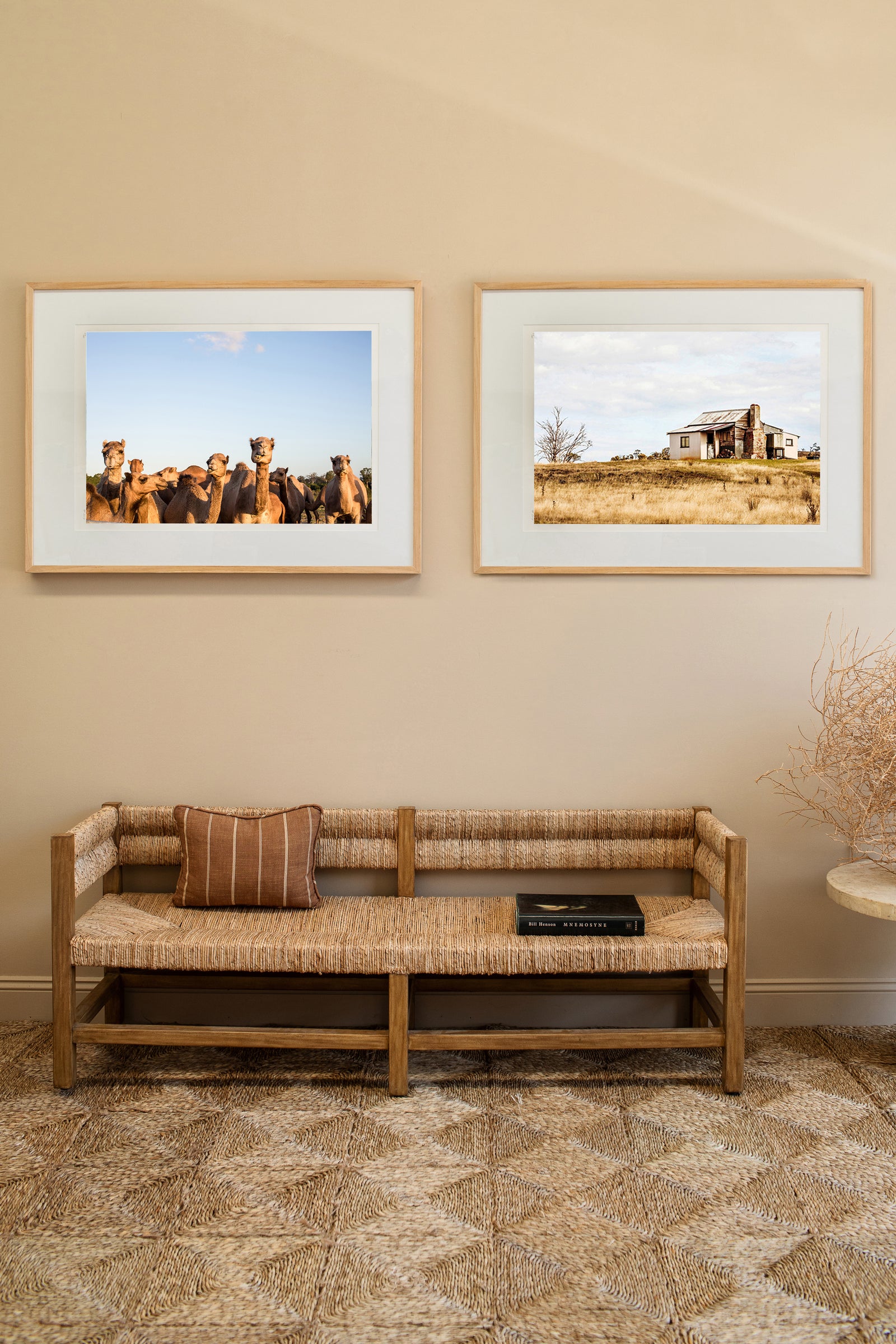 "Camel Train" Photographic Print by Kara Rosenlund