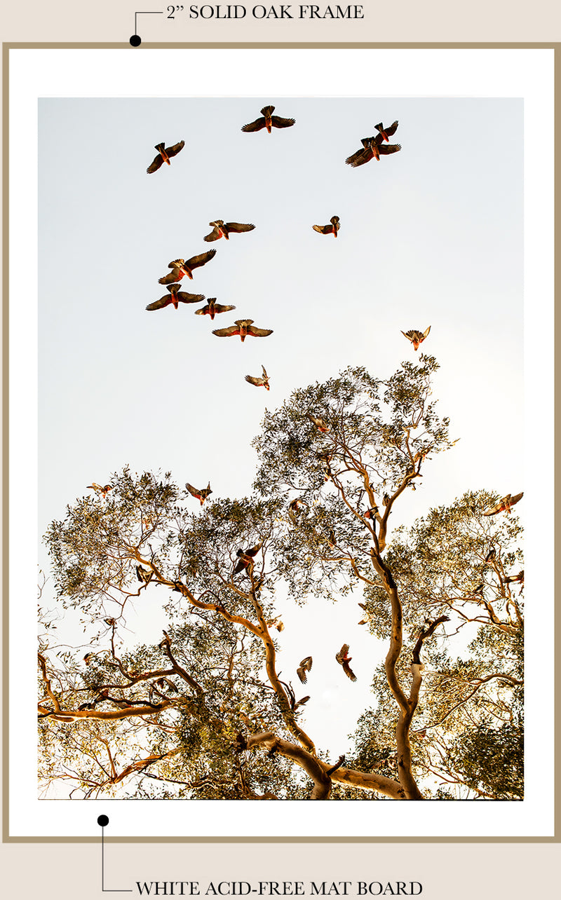 "Open Country Vertical" Photographic Print by Kara Rosenlund