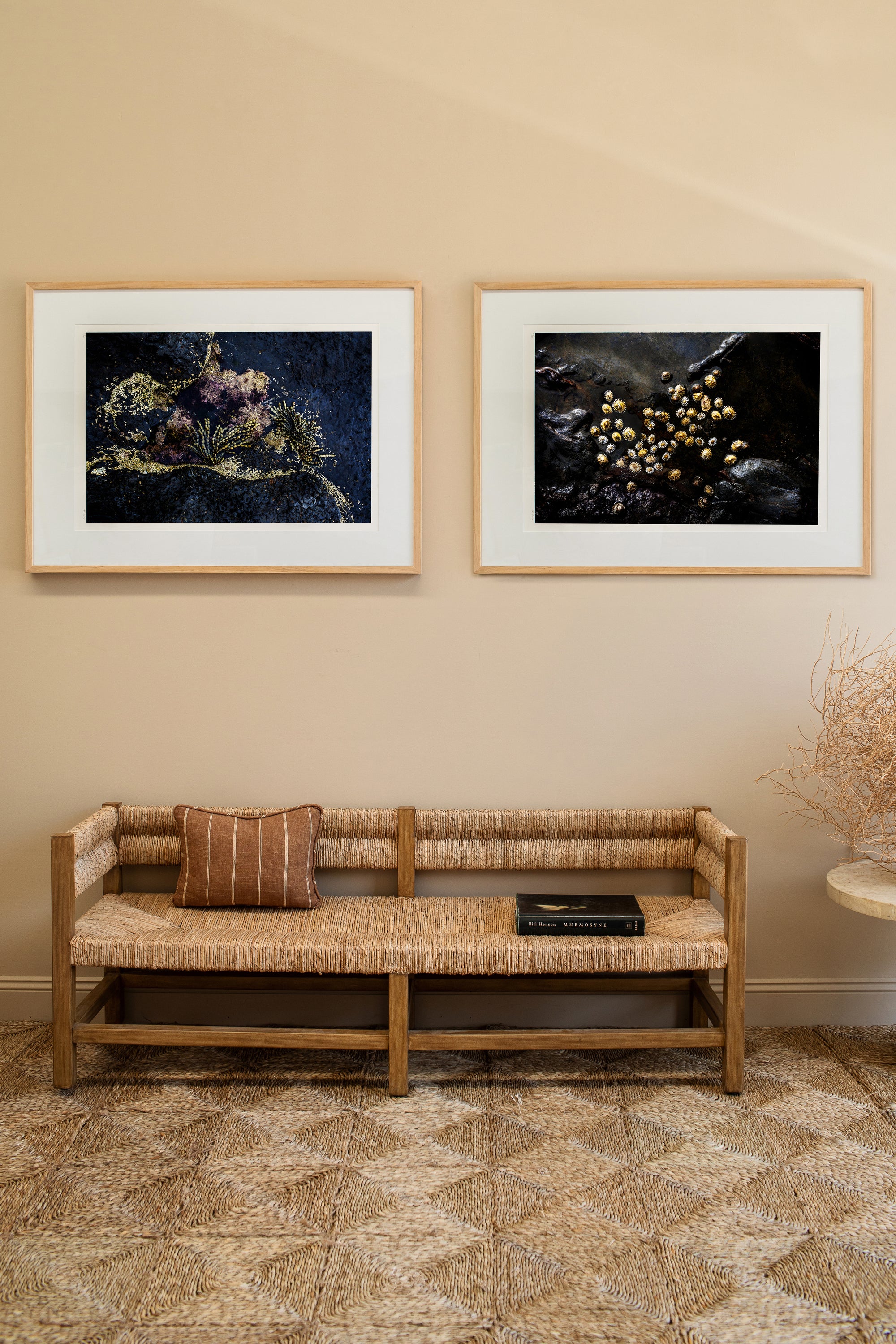 "Seaweed Pearls - Horizontal" Photographic Print by Kara Rosenlund